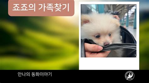 죠죠의 가족찾기 안나의 동화이야기 Youtube