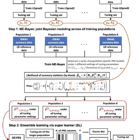 Me Bayes Sl Workflow Step 0 Apply Ldpred2 To Each Of The K Training