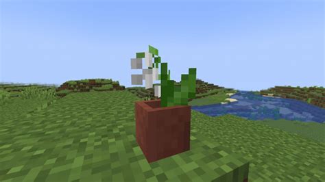 Lily Of The Valley A Complete Guide Minecraftvault