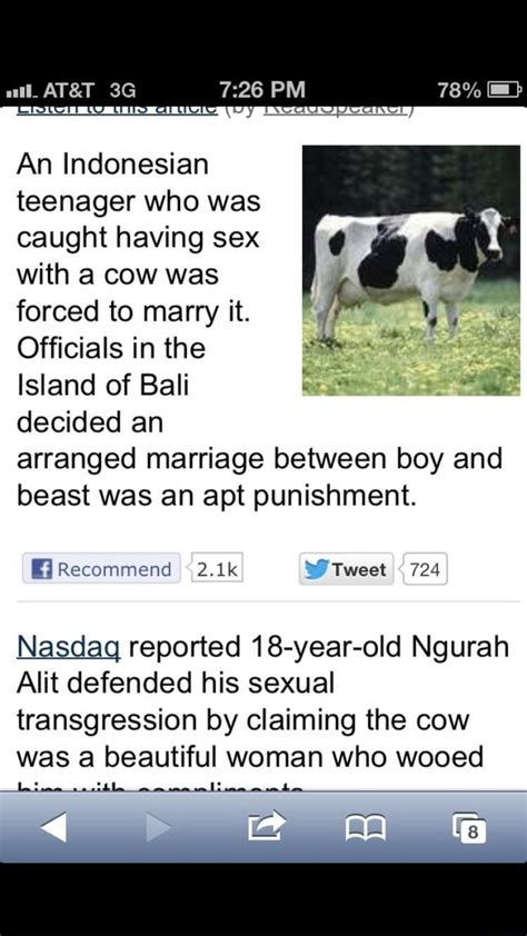 All PM An Indonesian Teenager Who Was Caught Having Sex With A Cow Was Forced To Marry It