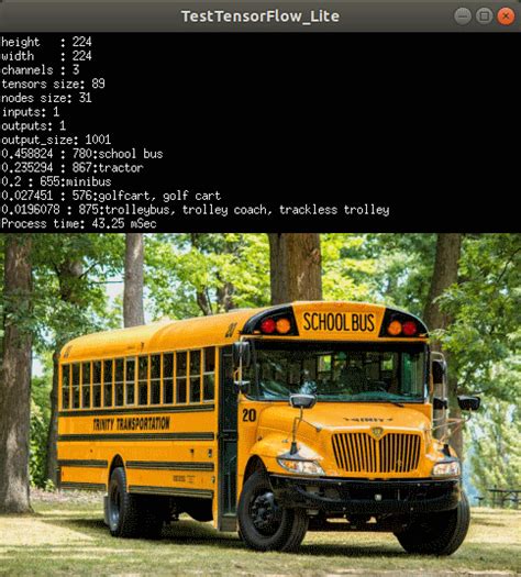 Github Qengineering Tensorflow Lite Classification Jetson Nano