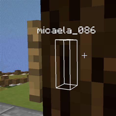 Playeresp Wallhack Gallery Minecraft Mods Curseforge