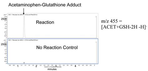Formation Of Reactive Metabolites Of Acetaminophen Acetaminophen Download Scientific Diagram