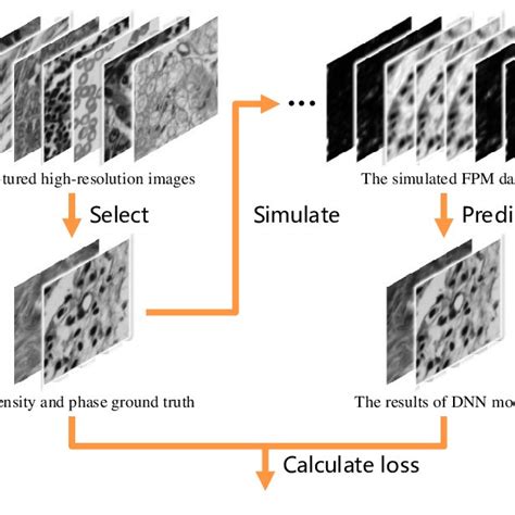 pdf fourier ptychographic microscopy reconstruction with multiscale