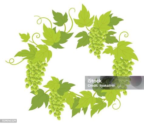 홉 식물 프레임 서클 배너입니다 둥근 테두리 프레임입니다 텍스트 이름 또는 로고를 배치 합니다 녹색 잎과 원뿔을 홉 바 또는 맥주 광고에 대 한 벡터 평면 그림 0명에 대한