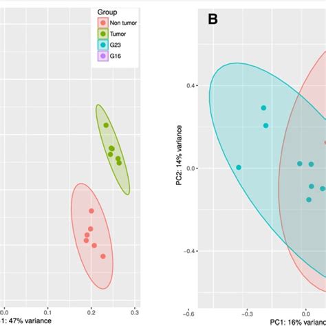 Principal Component Analyses Pca The First Two Principal Components Download Scientific