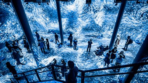 Submerge Immersive Installation Ny Happenart