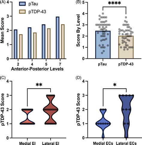 Semi‐quantitative Ptdp‐43 And P‐tau Scores A Mean Semi‐quantitative