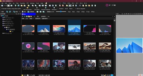 【应用推荐】常见资源管理器整理，内含使用体验和个人使用推荐 My Files X Free Csdn博客
