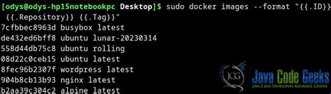 Docker List Images Java Code Geeks