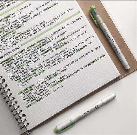 Organize Your School Notes With These Helpful Tips