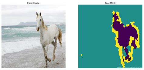 tensorflow2 unet加载自己的图像进行训练 tensorflow2 labelme csdn博客