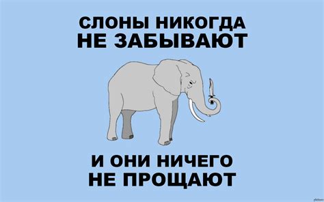 Слоны никогда не забывают... | Пикабу