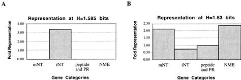 Representation Of Functional Categories At High Entropy In Rat Spinal Download Scientific