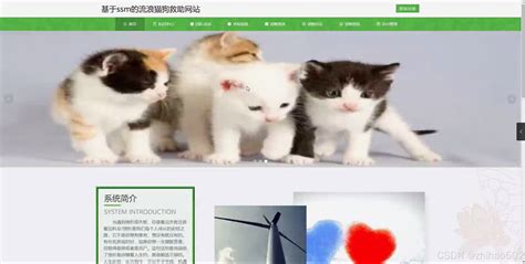 基于pythonflask框架的流浪猫狗救助网站（开题程序论文） 计算机毕设我想写一个网站用于救助 Csdn博客