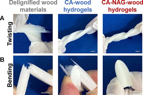 Wood Derived Hydrogels For Osteochondral Defect Repair Acs Nano