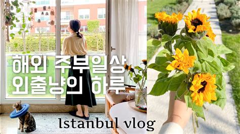 해외 사는 주부 일상 터키의 생일파티🎉외출냥 메리의 하루🐱 이스탄불 국제공항에서 남편과의 상봉 Youtube