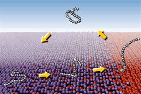 directed diffusion across a surface energy gradient cookandkaye