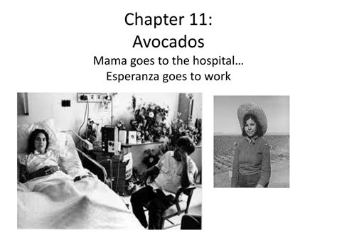 Ppt Esperanza Rising Powerpoint Presentation Free Download Id2782773