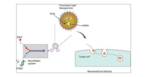Microfluidics For Nanomedicine Delivery Acs Biomaterials Science And Engineering