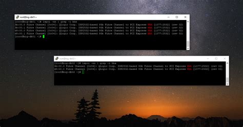 Linux идентификация FC HBA портов internet lab ru
