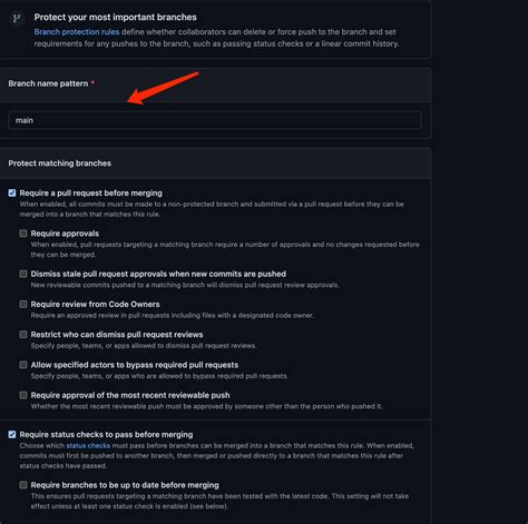 Branch Protection Metopia Docs
