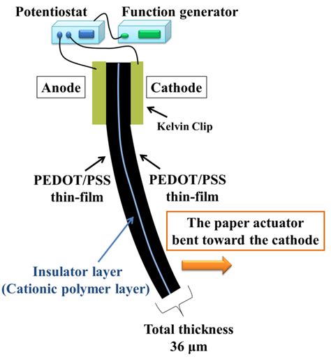 Development Of A Paper Actuator With Pedotpss Thin Films As An Electrode