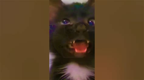 Ai Humor Funny Ai Fails” Ai Humor Tech Shorts Funnyshorts Funnytech Youtube