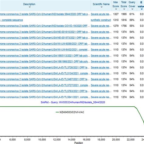 Comparison Of Genome Sequence Similarity Between Two Indian Sars Cov 2s Download Scientific