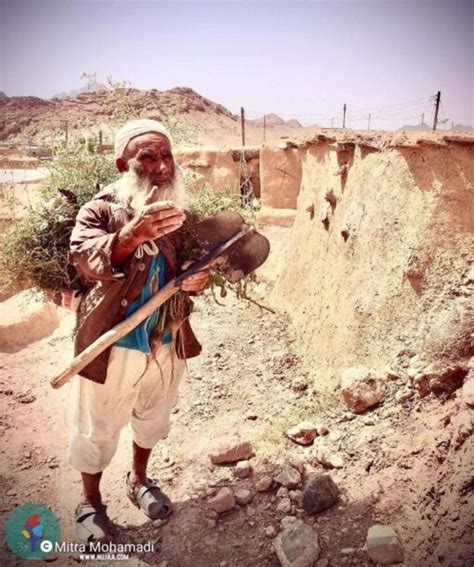 میترا محمدی نوژا