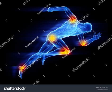 3d 렌더링된 의학적으로 정확한 스프린터 그림 스톡 일러스트 1080431765 Shutterstock