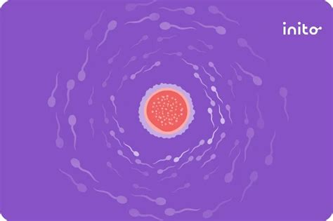 What Are the Causes of Spotting After Periods? - Inito