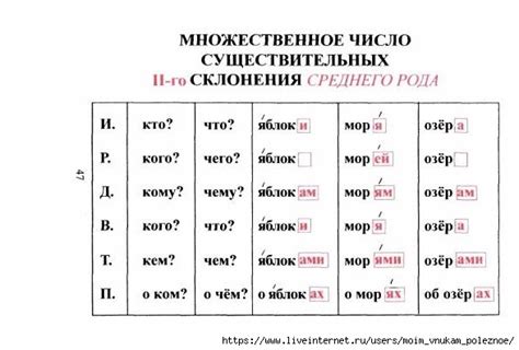 Русский язык в таблицах - начальная школа - распечатать памятку ...