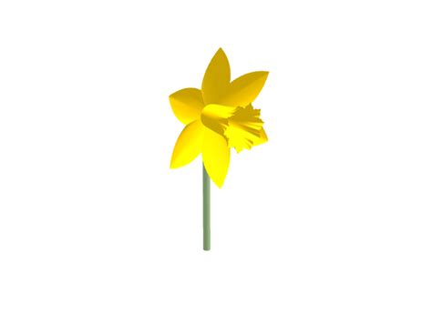 Celebrating Springtime The Matlab Daffodil The Matlab Blog Matlab