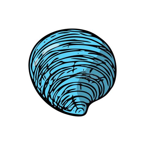 Flat Seashell Hand Drawn Sea Symbol Fossil Conch Painted By Ink Pen