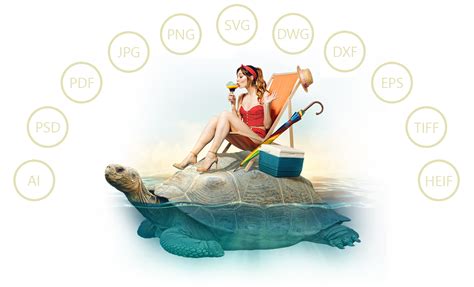 Buy Coreldraw Graphics Suite In Pakistan Affordable Genuine Licenses