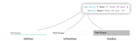 Xamarin Forms That C Guy