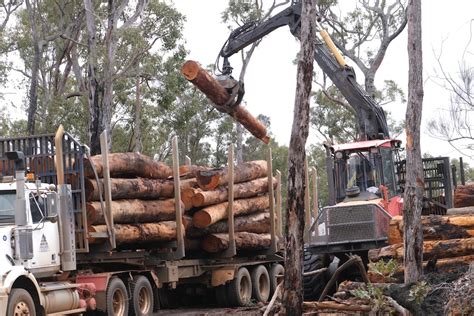 end of wa s native timber logging final blow for jarrah and marri