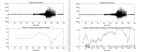 基于有序模式的度量对多变量时间序列进行非线性分析研究附matlab代码基于多尺度时间序列相关的非线性多变量 Csdn博客