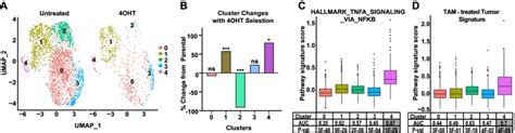 Integration Of Two Single Cell Rna Sequencing Datasets From Untreated Download Scientific