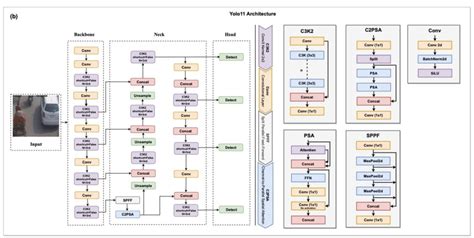 Yolo11改进 Dgnn Yolo：基于yolo11的动态图神经网络用于小目标检测及跟踪 Csdn博客