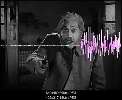 Software With Accurate Video And Audio Waveform Display VideoHelp Forum