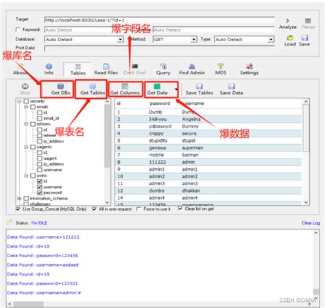 Sql注入工具havij与超级工具的对比与应用 Csdn博客