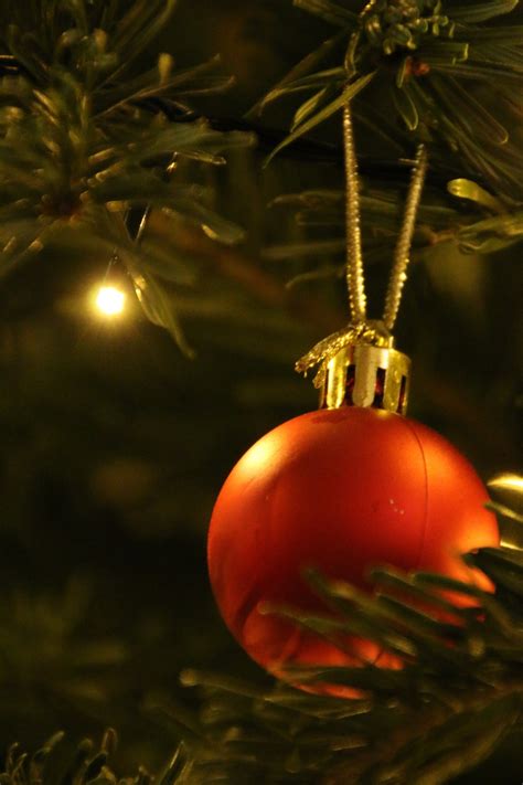 크리스마스 값싼 물건 장식 Pixabay의 무료 사진