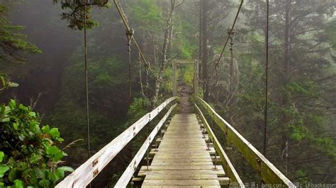 Python 的 函数参数处理机制 晚花行乐