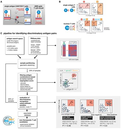 Discriminatory Power Of Combinatorial Antigen Recognition In Cancer T