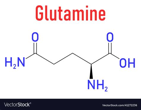 Glutamine Amino Acid Structure
