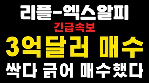 엑스알피 리플코인 긴급속보 3억달러 매수 싹다 긁어 매수했다 코인왕국tv불독코인급등코인 Youtube
