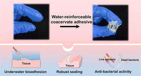 Injectable Water Reinforceable And Antibacterial Tissue Adhesive With Underwater Bioadhesion