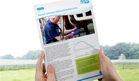 Somatic Cell Count An Indicator Of Milk Quality Ahdb